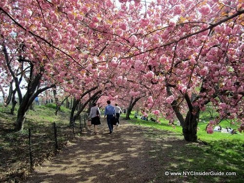 Best Things To Do in New York in April | Activities, Events, Tours ...
